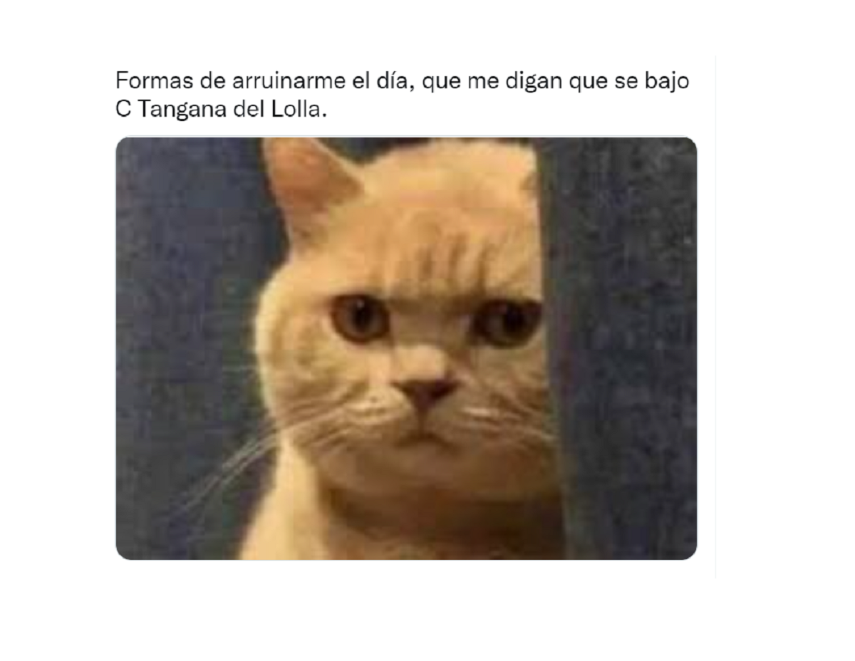 Los mejores memes por la ausencia de C. Tangana en el Lollapalooza