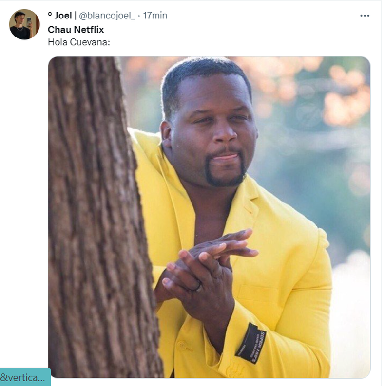 Chau Netflix: los mejores memes tras el anuncio de que se cobrará por ...