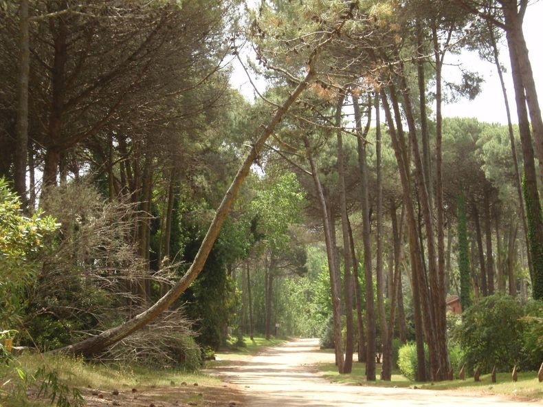 La Costa Atlántica disfruta de una semana a puro sol con buena ...