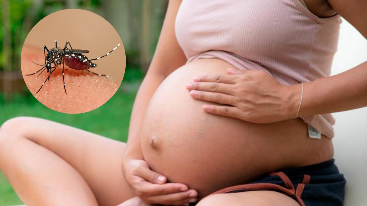 Cuáles son los riesgos de contagiarse dengue durante el embarazo: síntomas y recomendaciones