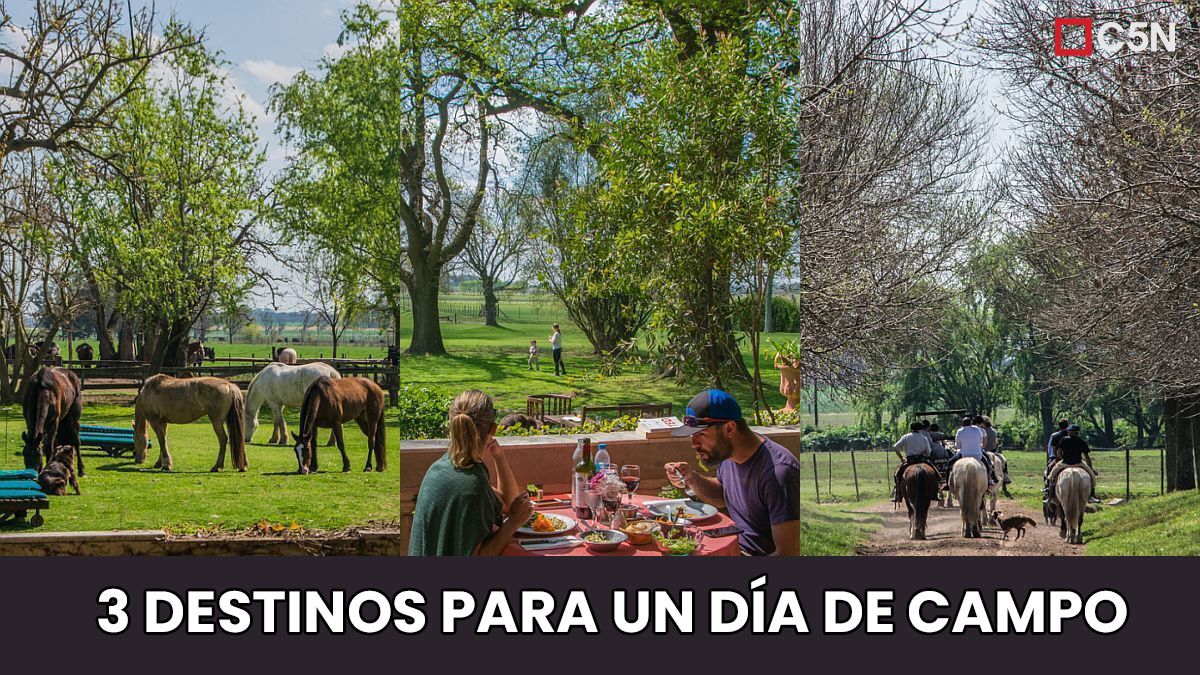 Un día de campo a horas de Buenos Aires: 3 destinos
