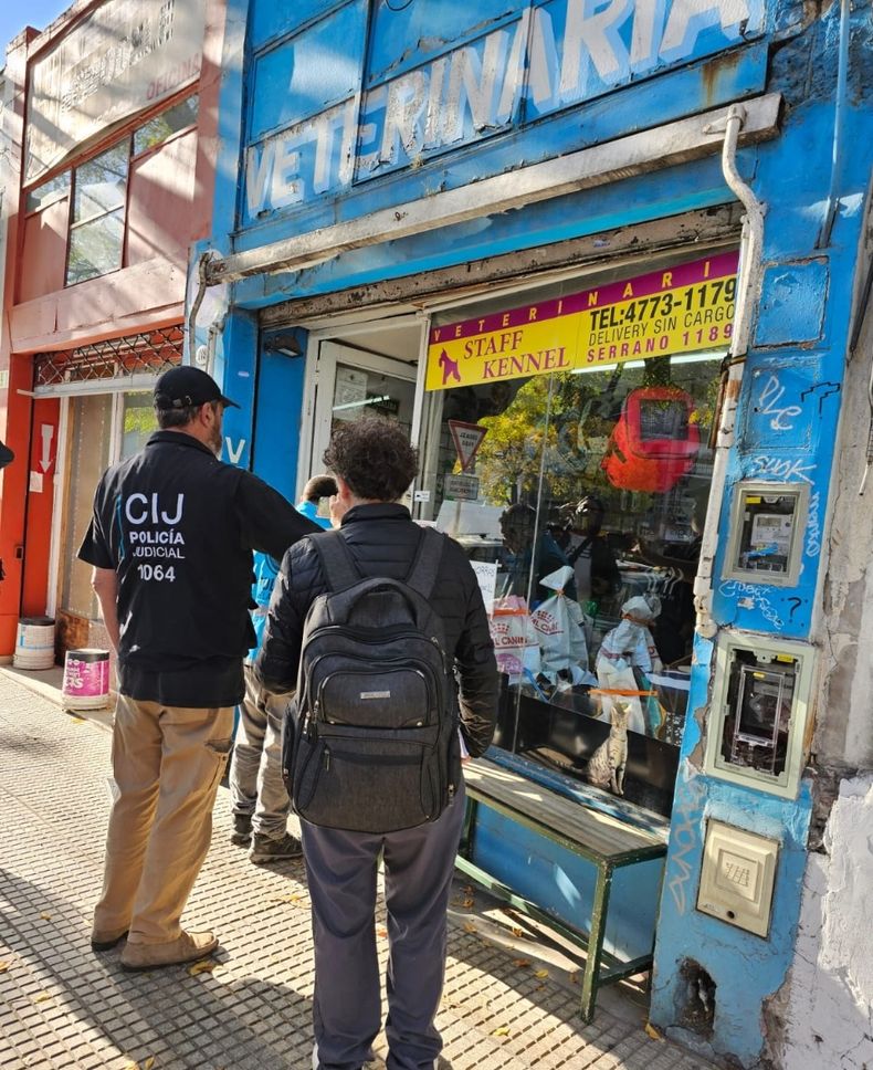 Clausuraron un criadero ilegal de perros Jack Russell en Villa Crespo