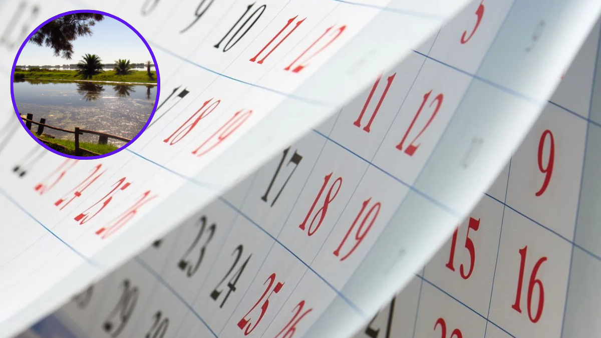 Se extiende el fin de semana largo: habrá feriado el miércoles 5 de ...