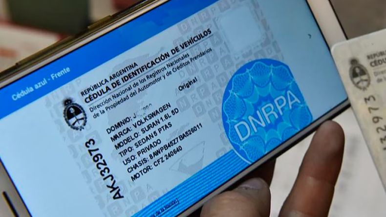 El Gobierno oficializó la nueva cédula azul digital: se gestiona desde ...