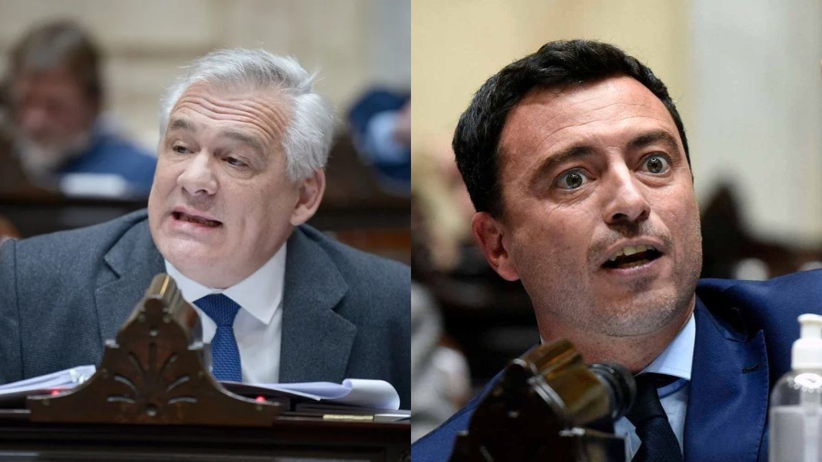 Interna radical: un diputado advirtió que la UCR que apoya todas las ...