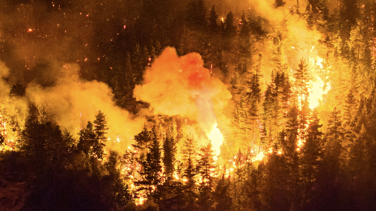 El fuego no cede en la Patagonia y se reactivó el foco en el Parque ...