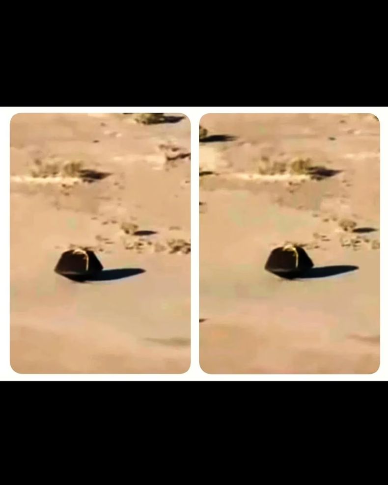 De hacer historia con Queen a la NASA: Brian May ayudó a analizar un ...