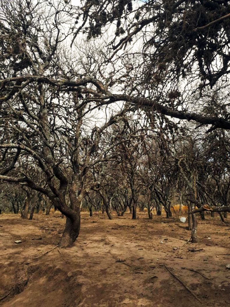 Viajar a CÓRDOBA: el PUEBLITO que tiene una mezcla única entre PAISAJES ...