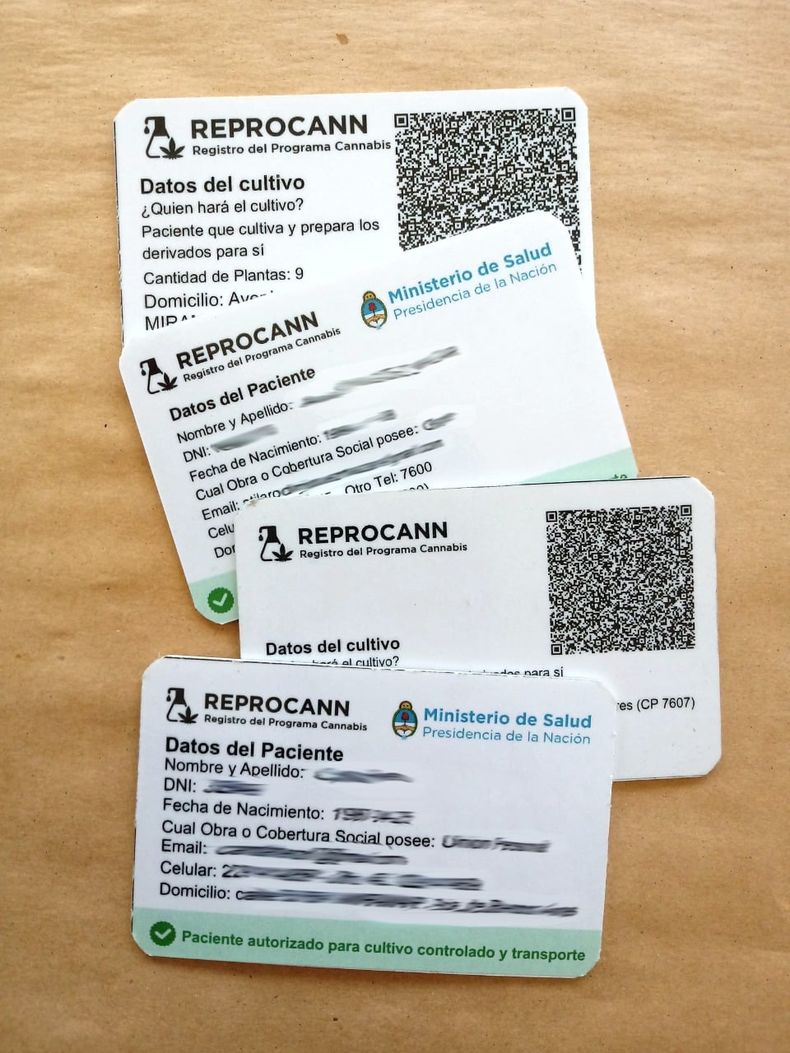 Cannabis medicinal: el Gobierno anunció que auditará las autorizaciones ...