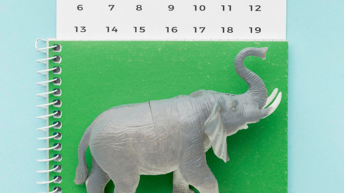 Numerología: qué animal te representa, según tu fecha de nacimiento