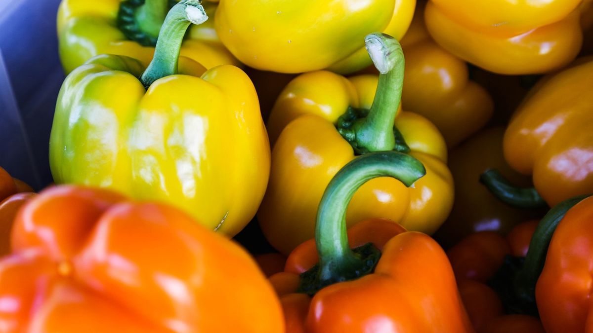 Cómo conservar pimientos o morrones