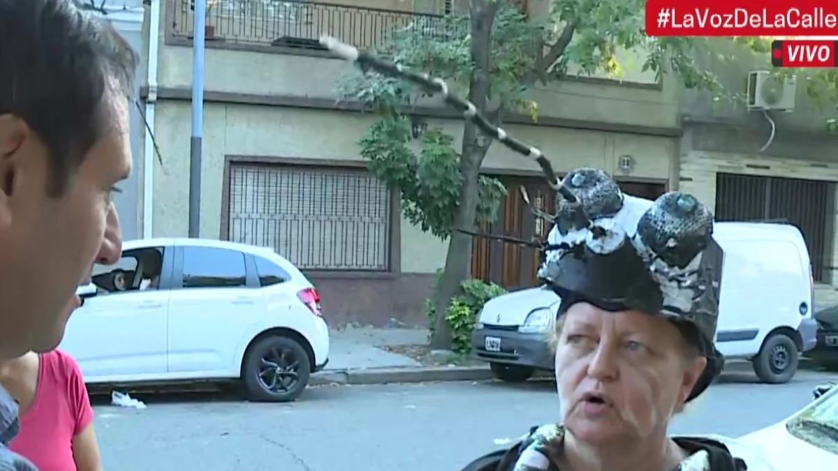 Brigada Antimosquitos: vecinos de Villa Devoto se organizaron para luchar contra el dengue