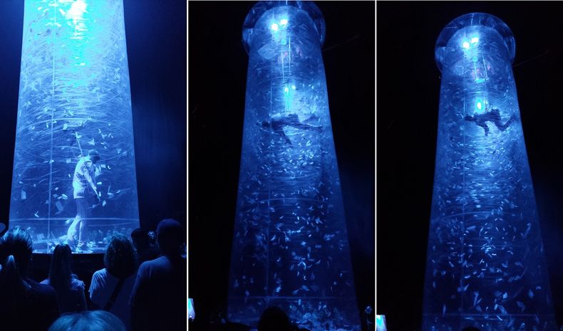 Fuerza Bruta Aven: un recorrido por los aires para el encuentro con la ...