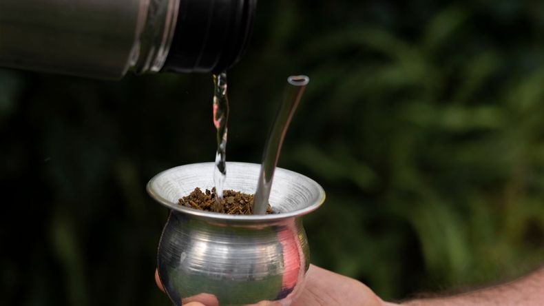 Revelado: este es el yuyo para el mate que te dará más energía y evita ...