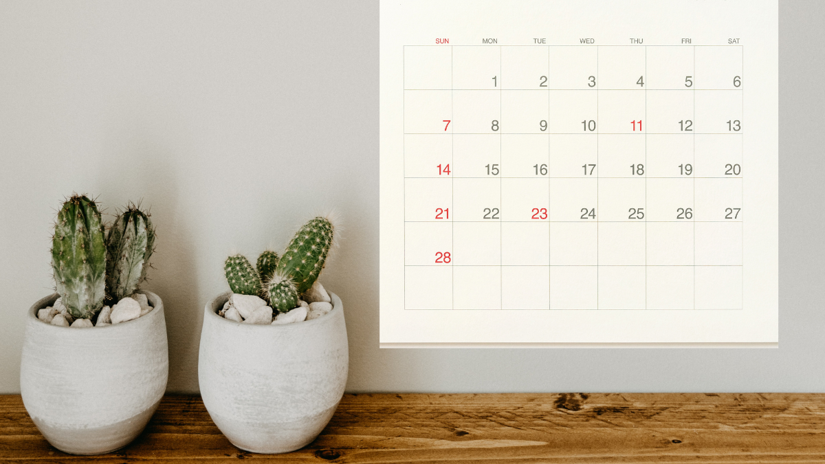 Decretan feriado para el miércoles 22 de octubre en 2025: a qué se debe ...