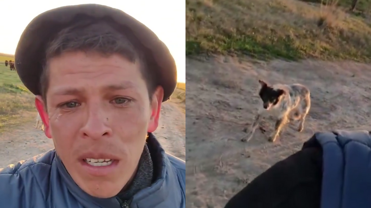Víctor Díaz, el peón que se hizo viral tras ser echado de su trabajo ...