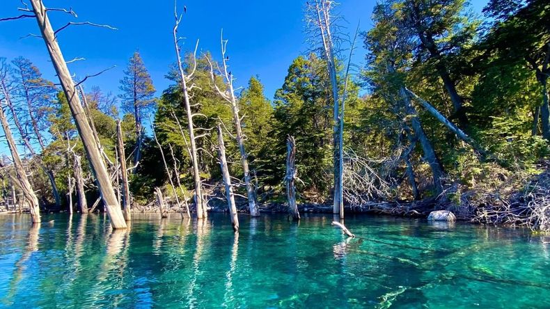 Vacaciones en Bariloche 2025: el pequeño pueblo mágico con un bosque ...