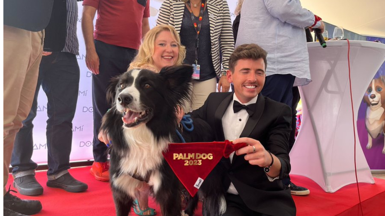 Conocé a Messi, el perro que ganó a mejor actor canino en el Festival ...