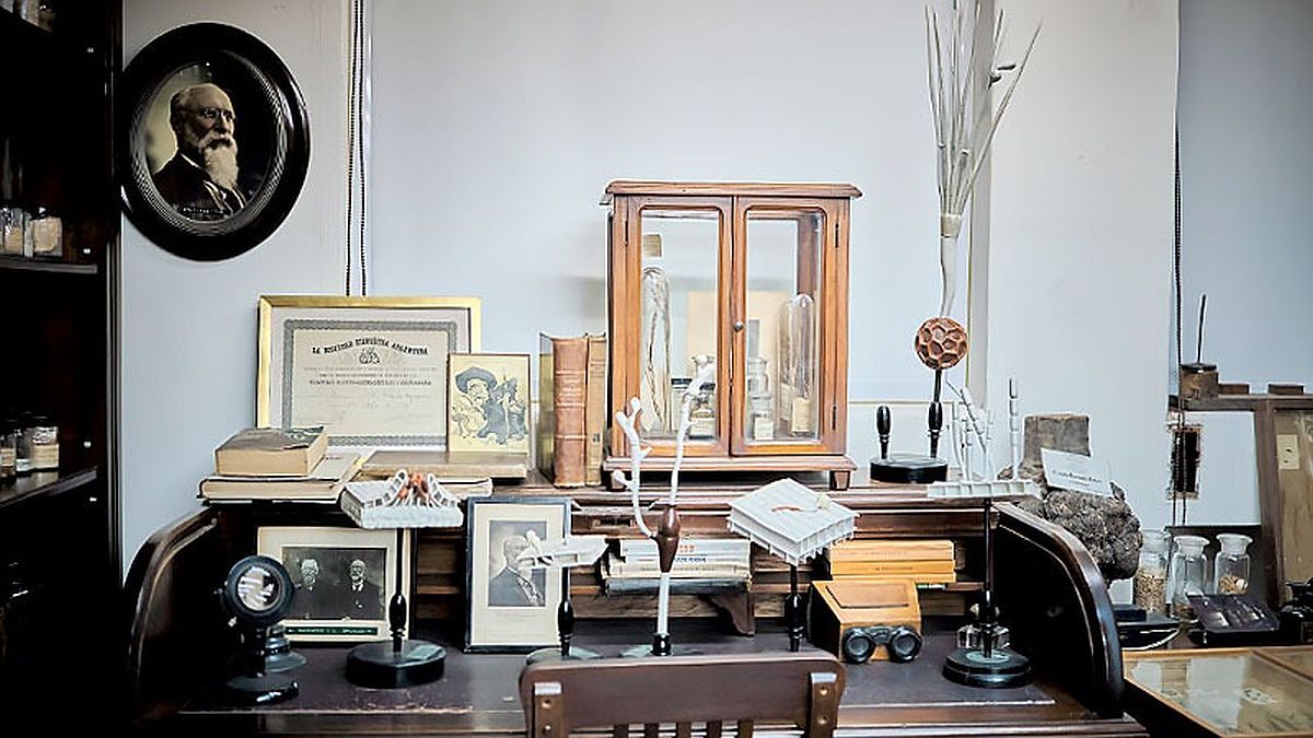 La UBA en la Noche de los Museos 2023