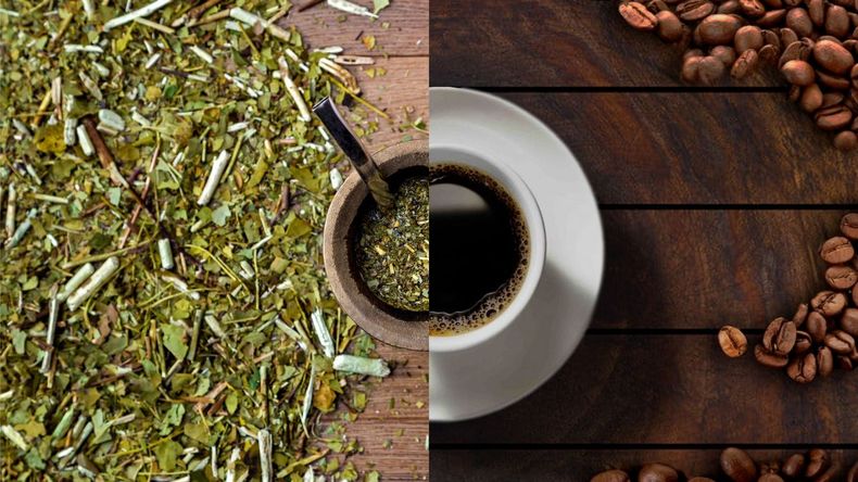 ¿El mate con café hace bien? Qué dicen los estudios sobre combinar las ...