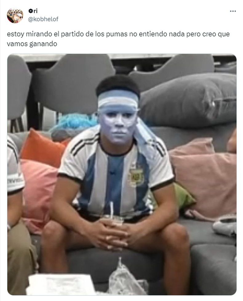 Los Pumas cayeron con los All Blacks: los mejores memes de la semifinal