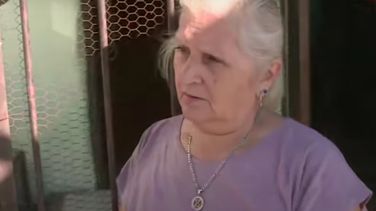 Persecución y muerte en Pablo Nogués: el relato clave de una vecina que ...