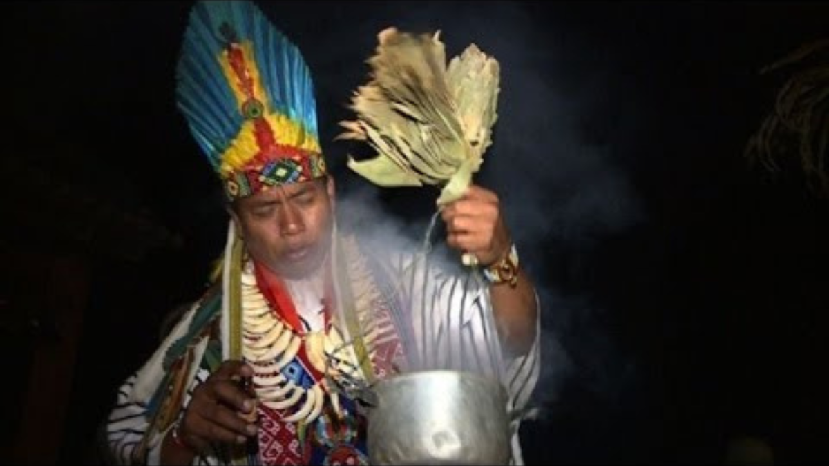De qué se trata la tradición del Yagé, el ritual colombiano de origen indígena