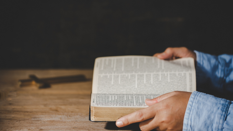 Evangelio de hoy, martes 5 de noviembre de 2024: Trae a mi casa a los ...