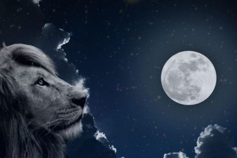 LUNA LLENA en LEO: qué se revela para CADA SIGNO el 1 de FEBRERO
