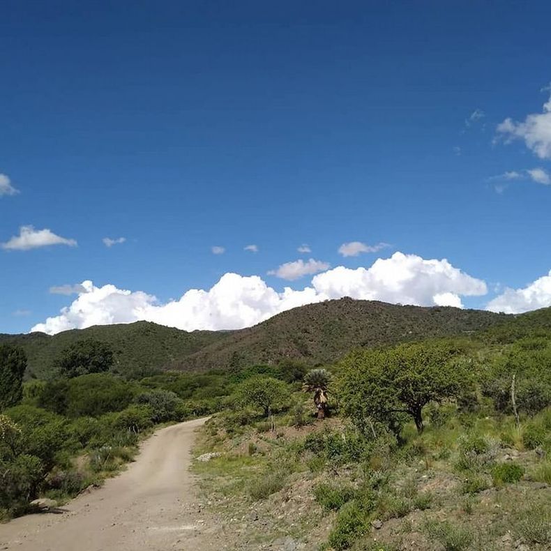 Viajar a Córdoba: el pueblito que hace un pan casero y un queso de ...
