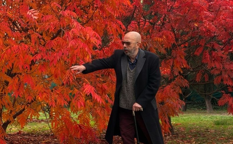 Conmovedor: se conoció la última foto del Indio Solari en Parque Leloir ...
