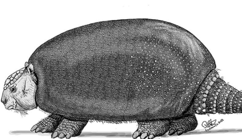 Científicos del Conicet descubrieron un gliptodonte que vivió hace dos ...