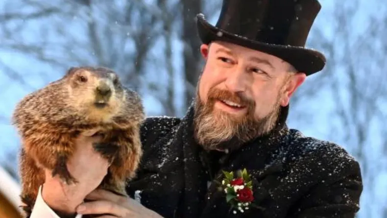 Tradición del Día de la Marmota: por qué tiene un origen europeo pero se celebra en Estados Unidos