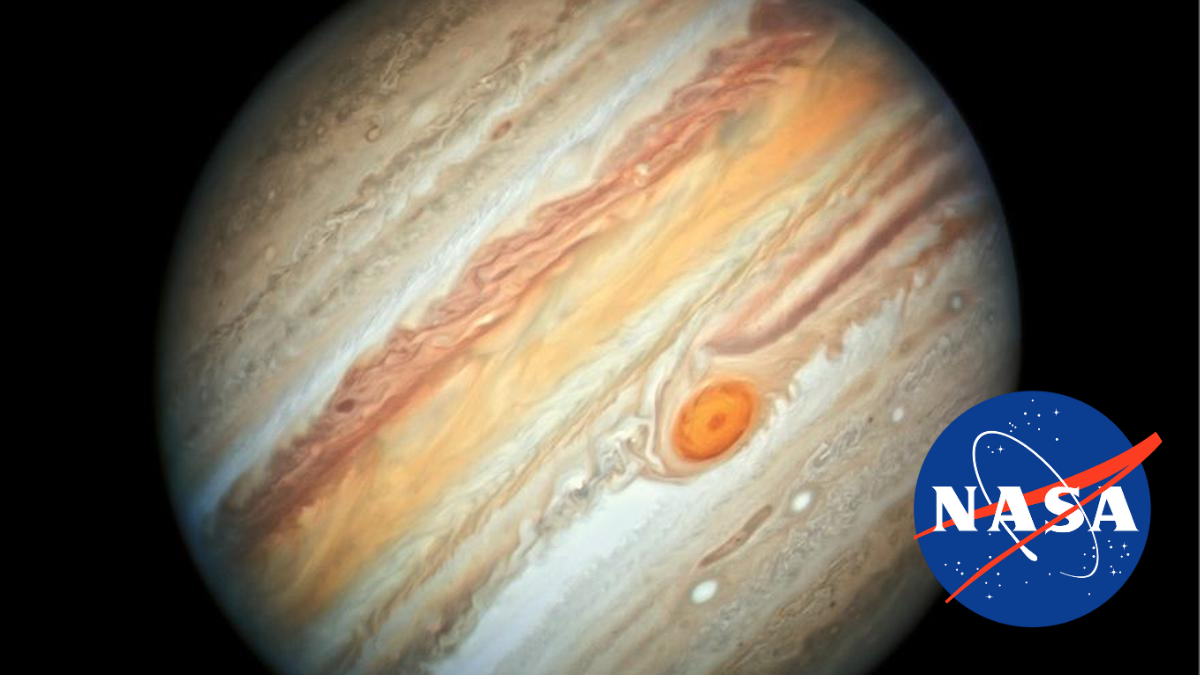 La NASA reconoció un delfín en la superficie de Júpiter: ¿de qué se trata?