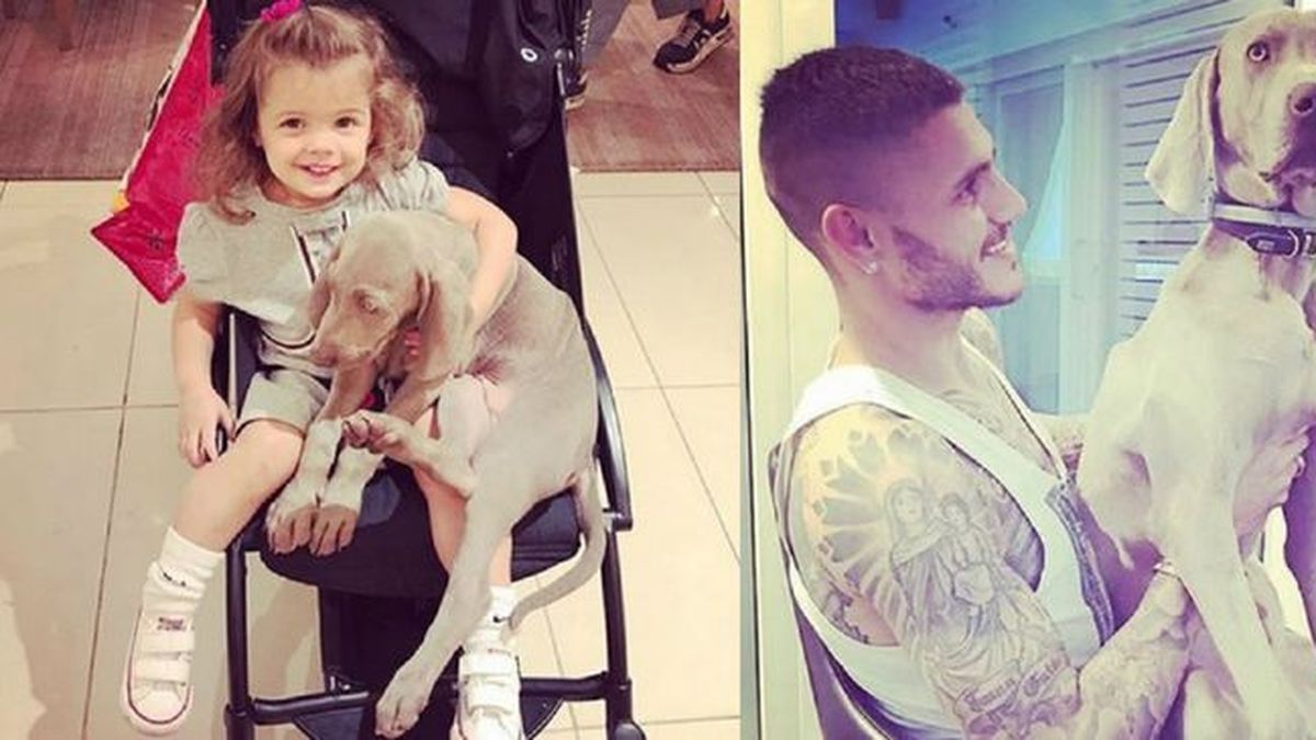 Mauro Icardi y Wanda Nara, dolidos por la muerte de su perro Coco
