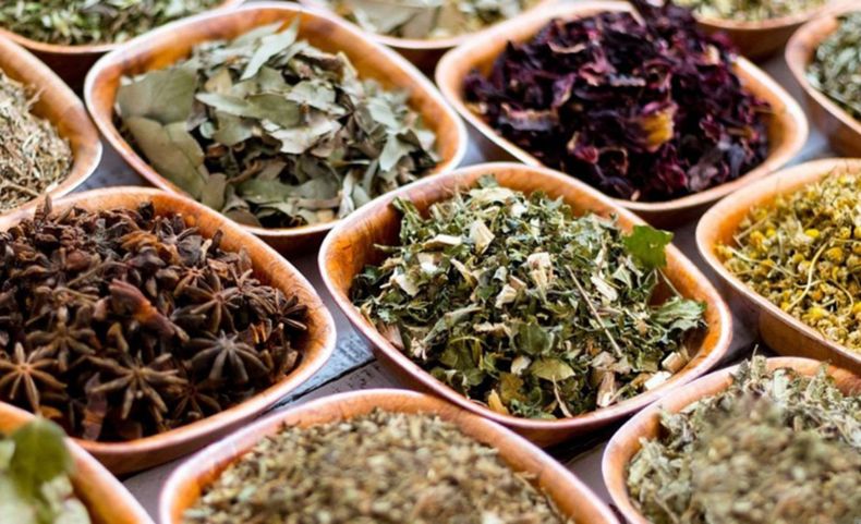 Fácil de conseguir: este es el yuyo ideal para agregarle al mate y ...