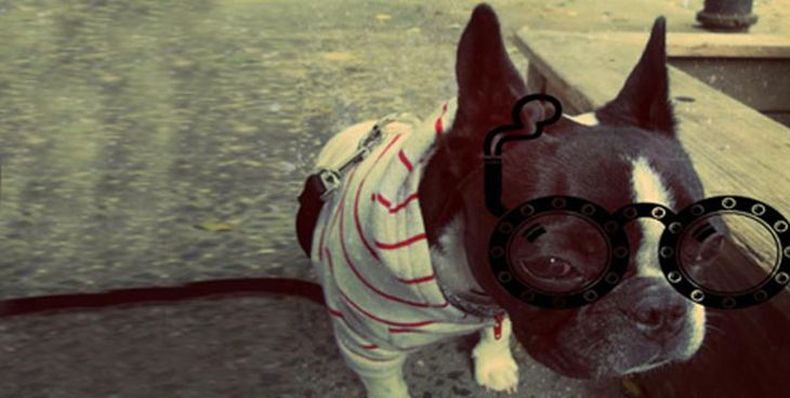 ¿Por este hombre se fue del país Calu Rivero?