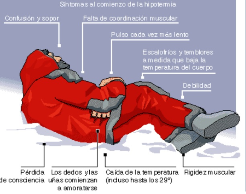 Tragedia de los andinistas argentinos: revelaron que murieron por ...