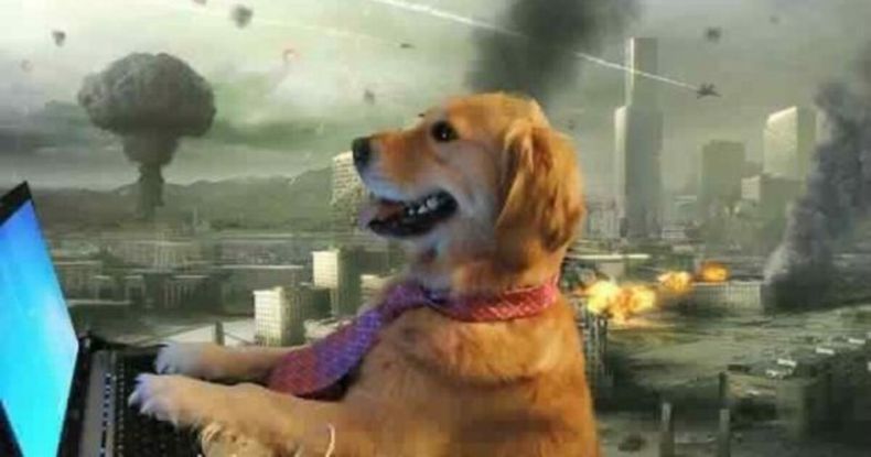 Los memes sobre el conflicto entre Ucrania y Rusia