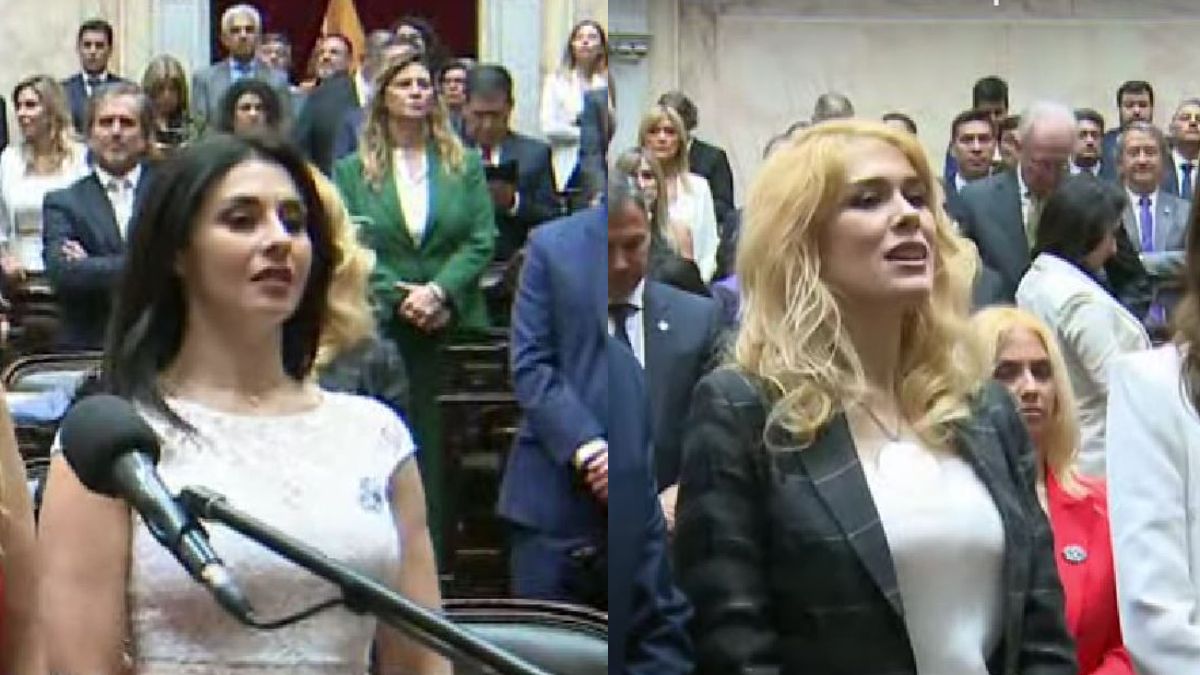 Video: así fue la jura de Lilia Lemoine y Marcela Pagano como diputadas ...