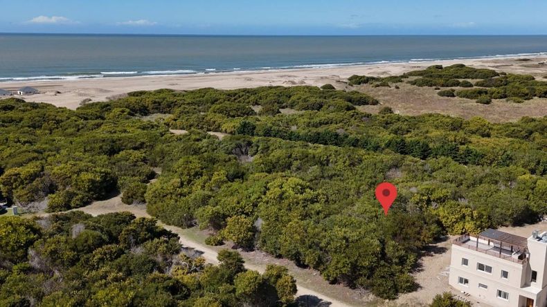 Carnavales en la Costa Atlántica 2026: el destino poco conocido y tiene ...