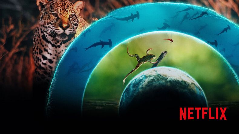 Qué documental retrata la relación de la naturaleza con la humanidad y ...