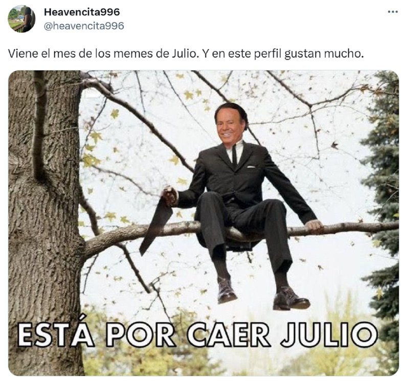 Está por caer Julio: los mejores memes por la llegada del nuevo mes del año