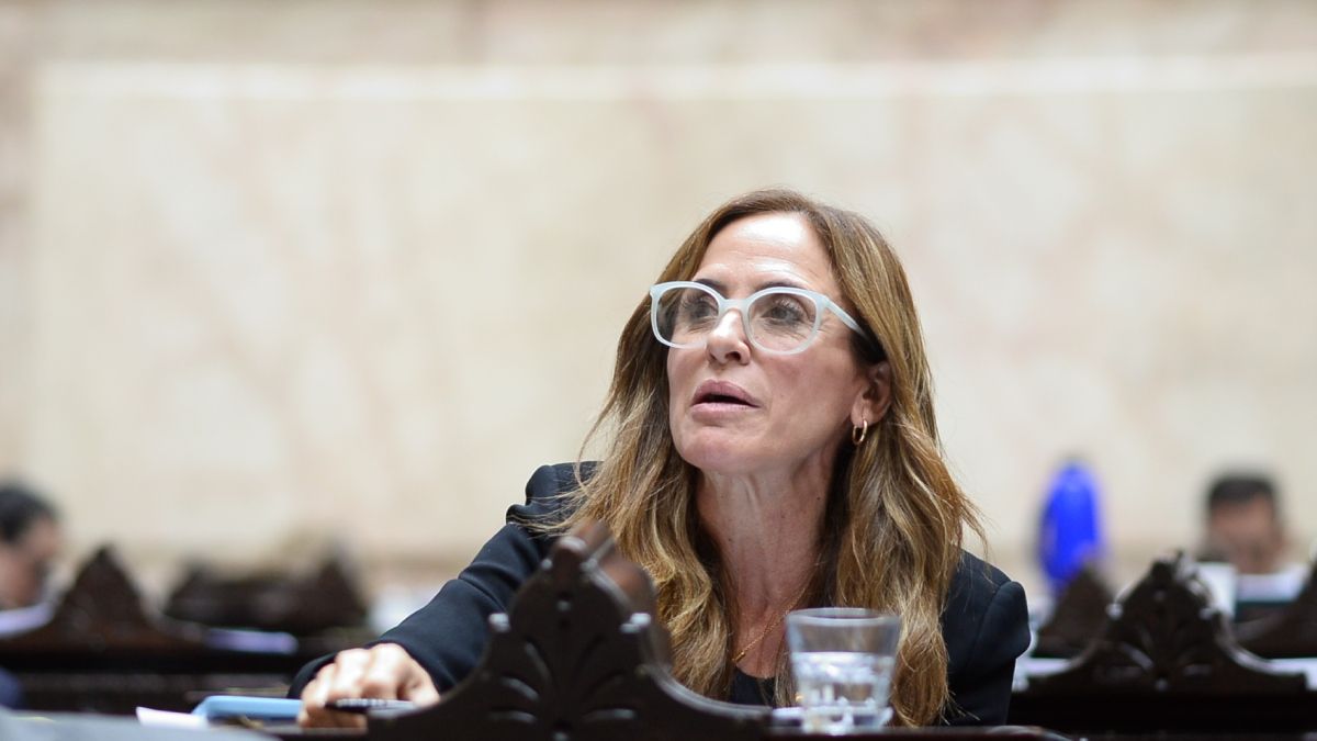 Victoria Tolosa Paz cruzó a Javier Milei por el dato de la pobreza: Le ...