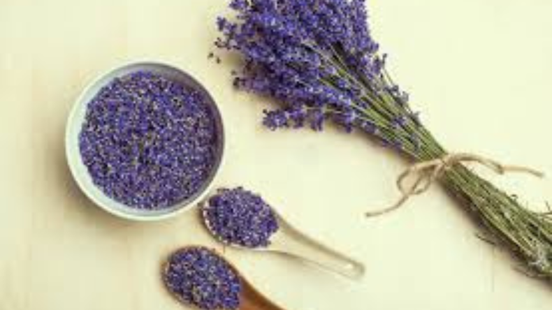 Cuál es el simple ritual con lavanda que sirve para alejar las malas ...