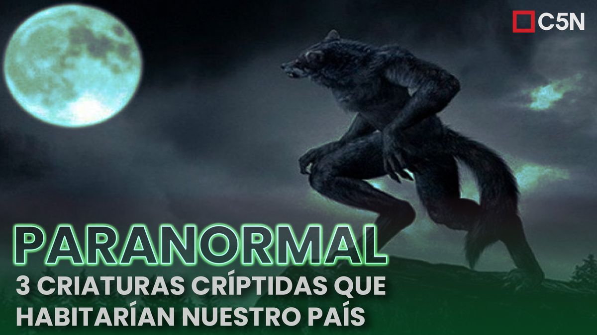 Paranormal: tres criaturas críptidas que habitarían nuestro país