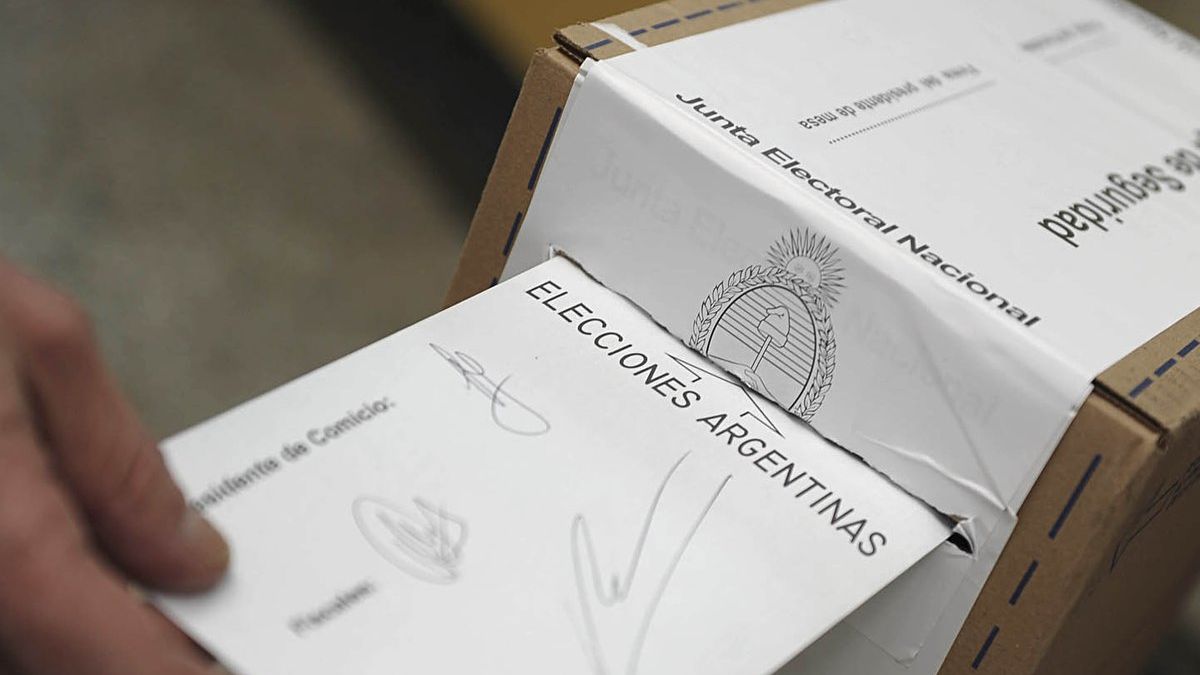 Dónde Voto En La Pampa Consultá El Padrón Electoral De Las Elecciones 2023
