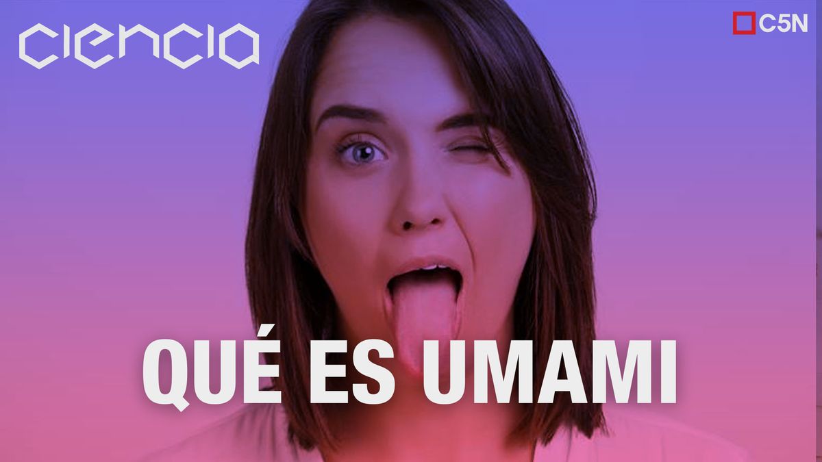 Umami, el quinto sabor: en qué alimentos lo encontramos