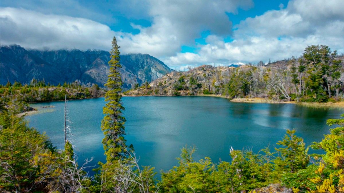 La imagen más desoladora de los incendios en Chubut: así quedó la ...