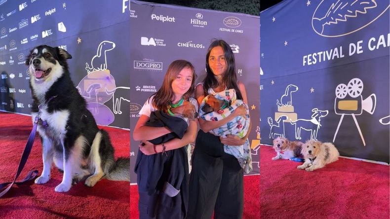 Se celebró el Festival de Canes, el encuentro para los amantes del cine ...